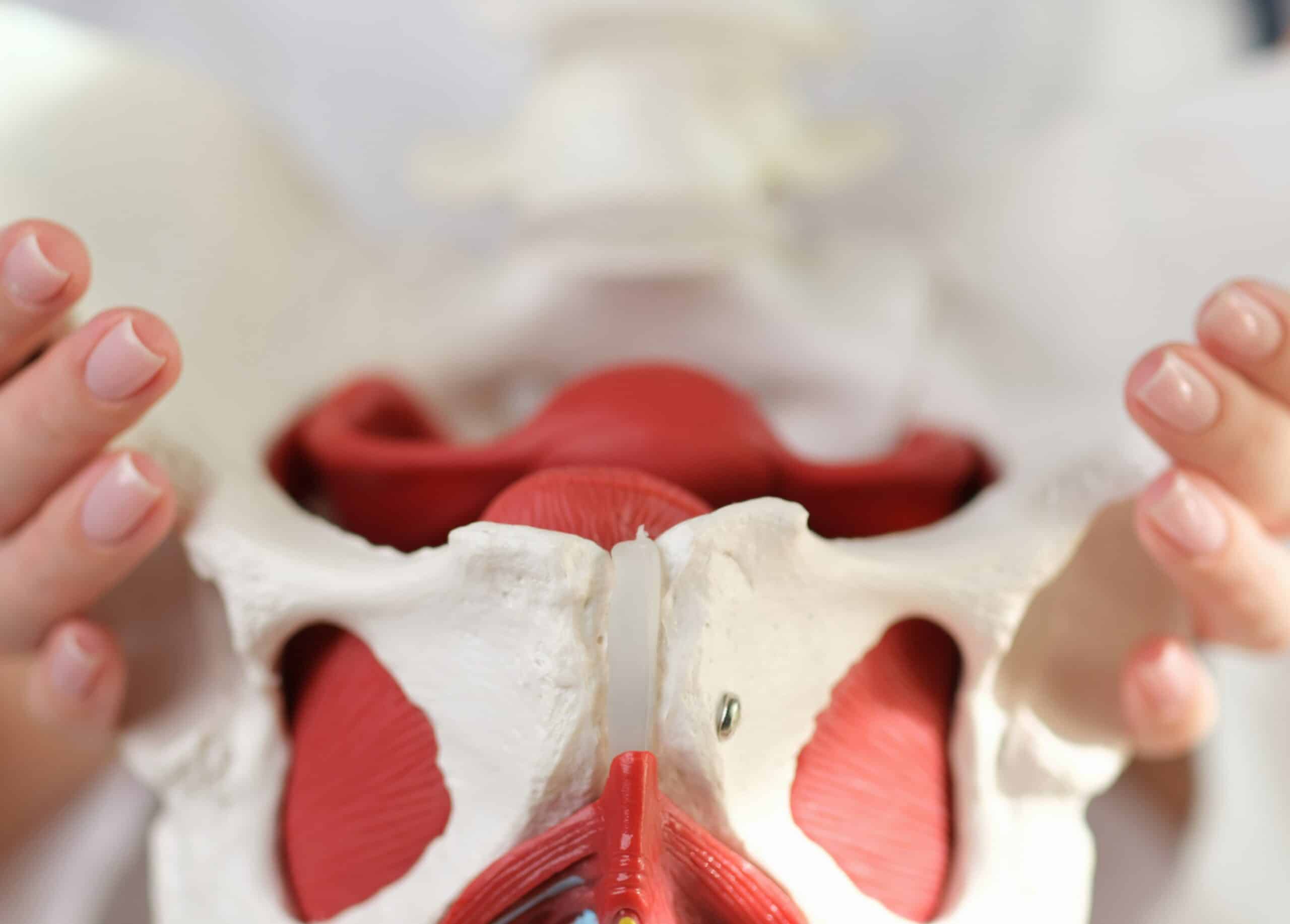 Chirurgies de la hanche | Cabinet de chirurgie orthopédique | Paris